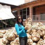 Zacatecas: Millennial Teúl Tour - Who Should Consider This Tour?