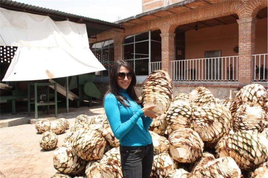 Zacatecas: Millennial Teúl Tour - Who Should Consider This Tour?