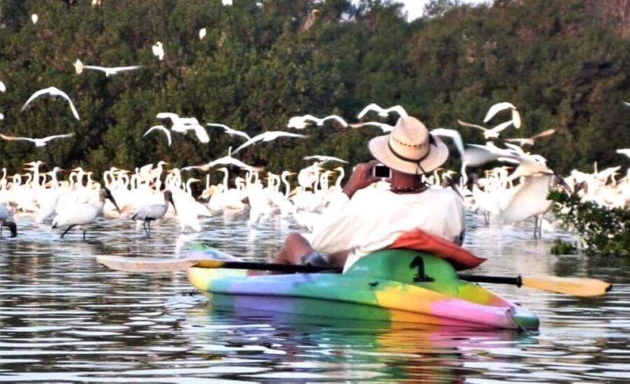 Zihuatanejo: Horseback Riding & Kayaking - The Value and Experience: Is It Worth the Cost?