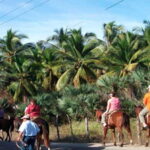 Zihuatanejo: Horseback Riding on the Beach - Analyzing Price and Value
