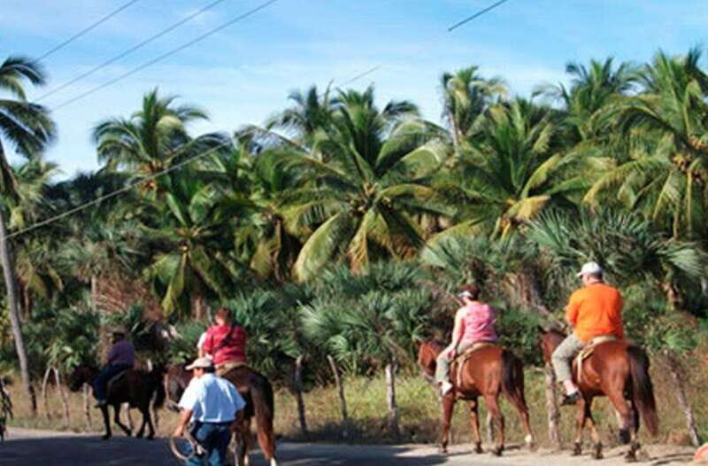 Zihuatanejo: Horseback Riding on the Beach - Analyzing Price and Value