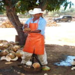 Zihuatanejo Ixtapa: Countryside Tour - The Practical Side: Transportation, Duration, and Booking
