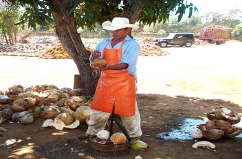 Zihuatanejo Ixtapa: Countryside Tour - The Practical Side: Transportation, Duration, and Booking