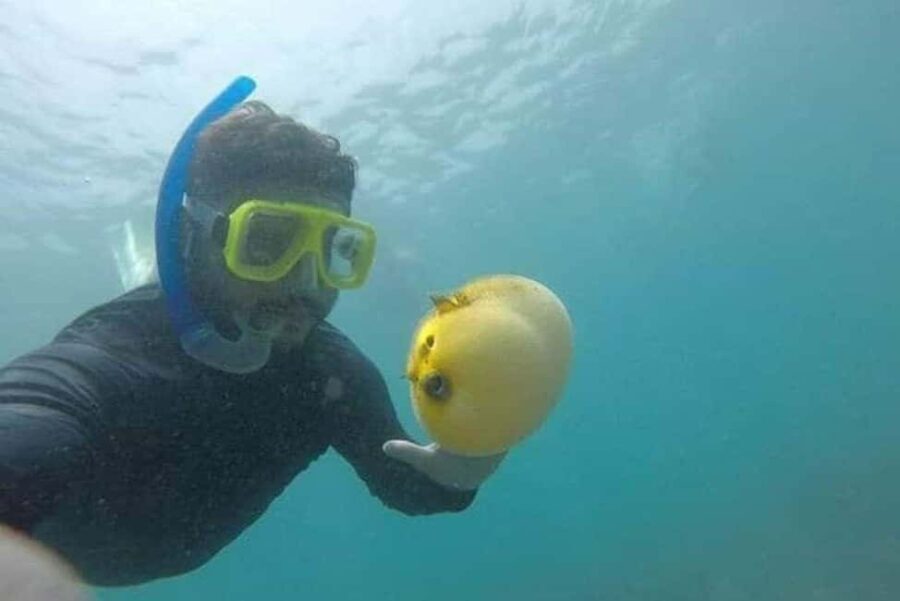 Zihuatanejo: Las Gatas Beach Snorkeling and Kayaking Tour - A Perfect Mix of Relaxation and Activity