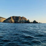 Zihuatanejo: Marine Life Observation Tour - The Highlights: Turtles and Dolphins