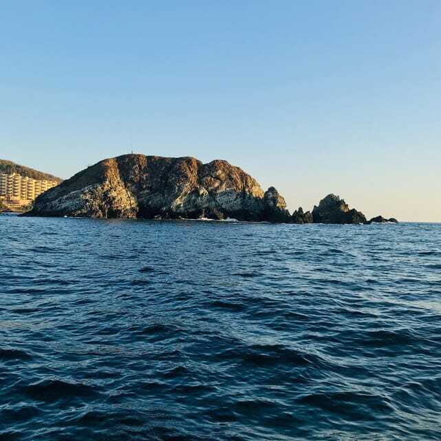 Zihuatanejo: Marine Life Observation Tour - The Highlights: Turtles and Dolphins