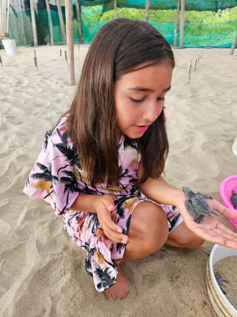 Zihuatanejo: Turtle Release Experience at Playa Blanca - Who Will Love This Tour?