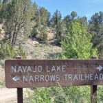 Zion National Park: Shuttle Service - The Sum Up