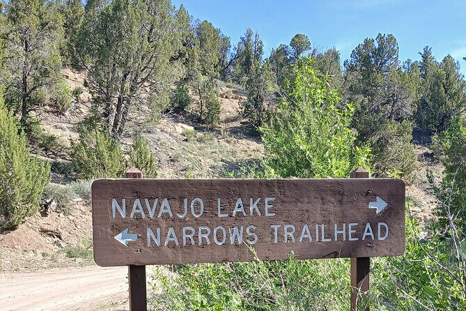 Zion National Park: Shuttle Service - The Sum Up