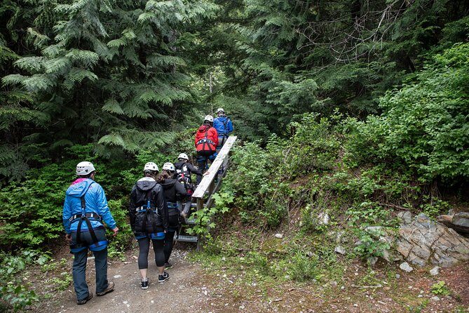 Zipline Adventure in Whistler - What Travelers Love Most