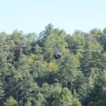Zipline the Goliath in The Smoky Mountains - What Makes Goliath Stand Out
