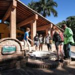 Ziplines and mezcal tasting - FAQs