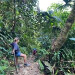 1-Day Trip from Medellín: Paragliding & Swim in Waterfall - Whats Included and What You Pay Extra For