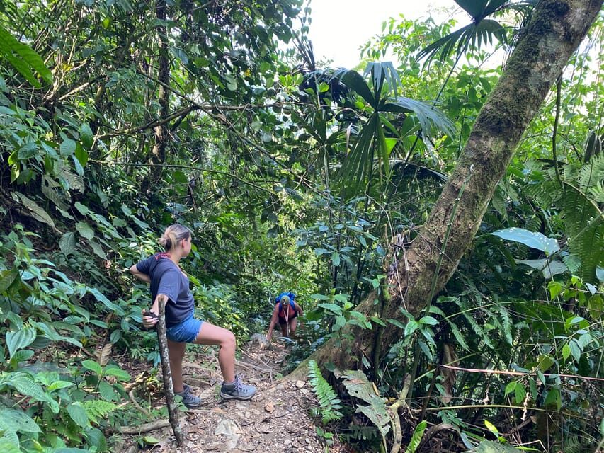 1-Day Trip from Medellín: Paragliding & Swim in Waterfall - Whats Included and What You Pay Extra For