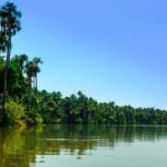 2 Day Tour in Tambopata Amazon - What Makes This Tour Stand Out