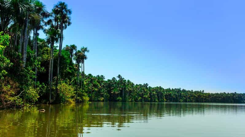 2 Day Tour in Tambopata Amazon - What Makes This Tour Stand Out