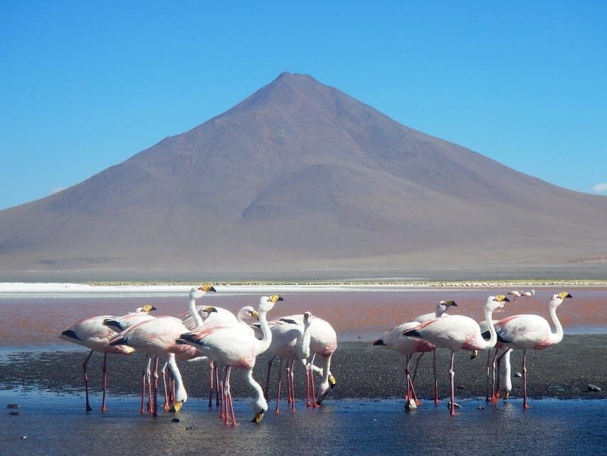 3D and 2N Tour Salar Uyuni ending in Atacama Chile - What Travelers Can Expect: Experience, Comfort, and Value