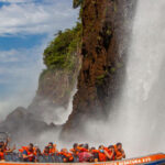 Adventure at Iguazu Falls: Safari, Bird Park, and Waterfalls - Is This Tour Right for You?