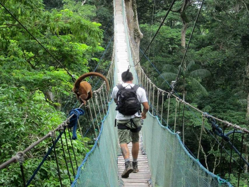 Adventure in the Jungle | Zipline, Canopy, Kayak| - The Itinerary in Detail