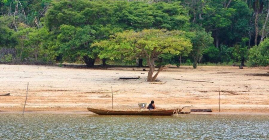 Alter do Chão: Arapiuns River and Urucureá Village Boat Tour - What Makes This Tour Stand Out?