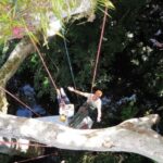 Amazon Jungle 3-Hour Tree Climbing Activity - Authentic Insights from Participants