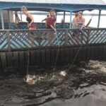 Amazonas: Boat Ride with a Local Amazonian - Navigating the Floating Village