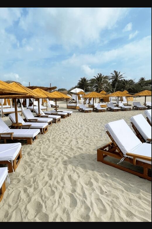 ANCESTRAL - - Is It Worth the Price?