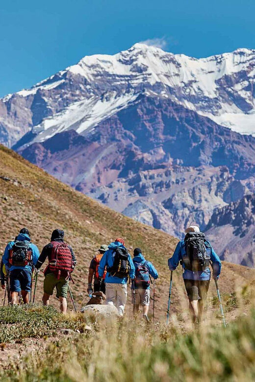 Andean Adventure: Exploring Aconcagua's Majesty - What the Tour Includes and What to Consider