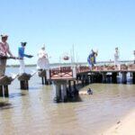 Aracaju: Guided Cultural City Tour with Pickup and Markets - Practical Details and Value