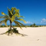 Aracaju: Tour to Mangue Seco - Who Will Appreciate This Tour?