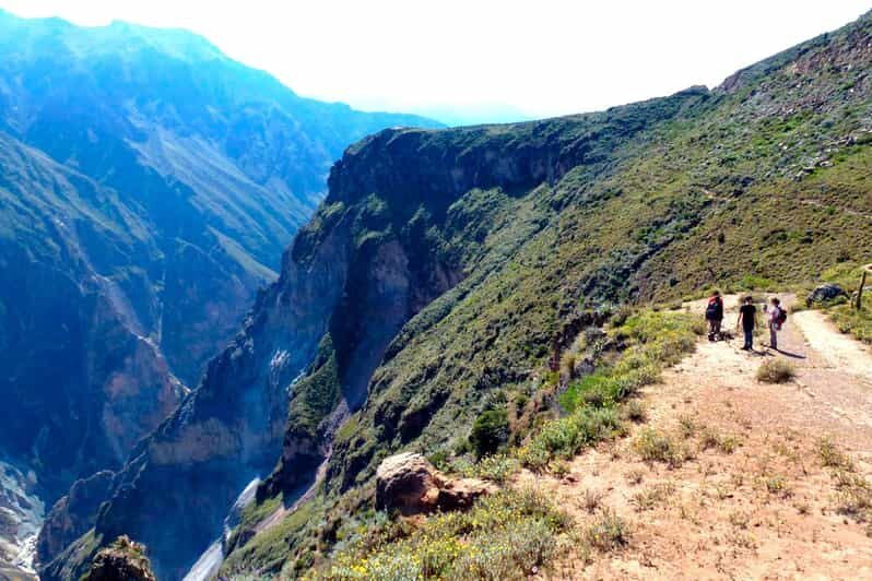 Arequipa: 2-day Colca Canyon Trekking, Ending in Puno - What’s Included and What’s Not