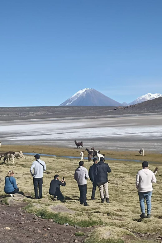 Arequipa: Full-Day Tour to Salinas Salt Lake - The Itinerary in Detail