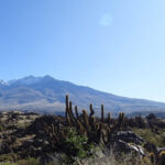 Arequipa: Las Rocas Park and Chilina Valley Bike Tour - Who Will Love This Tour?