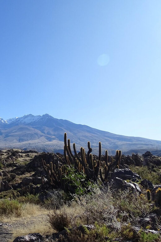 Arequipa: Las Rocas Park and Chilina Valley Bike Tour - Who Will Love This Tour?