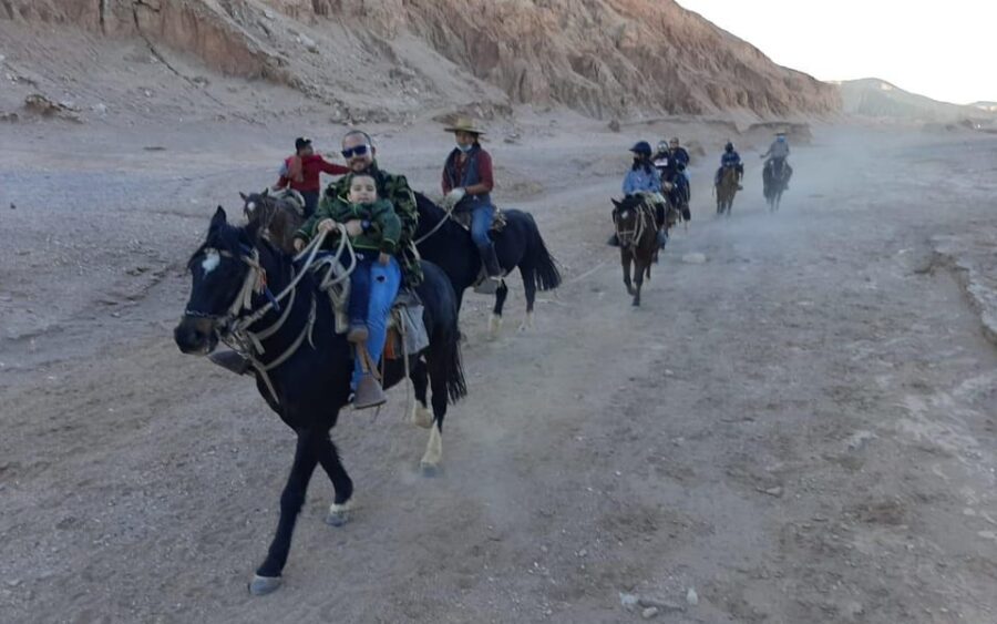 Atacama Desert: Horseback Adventure with Scenic Views - Final Thoughts: Who Will Love This Tour?