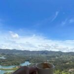 Avistamiento de aves en Minca Sierra Nevada de Santa Marta - What’s Included and What to Bring