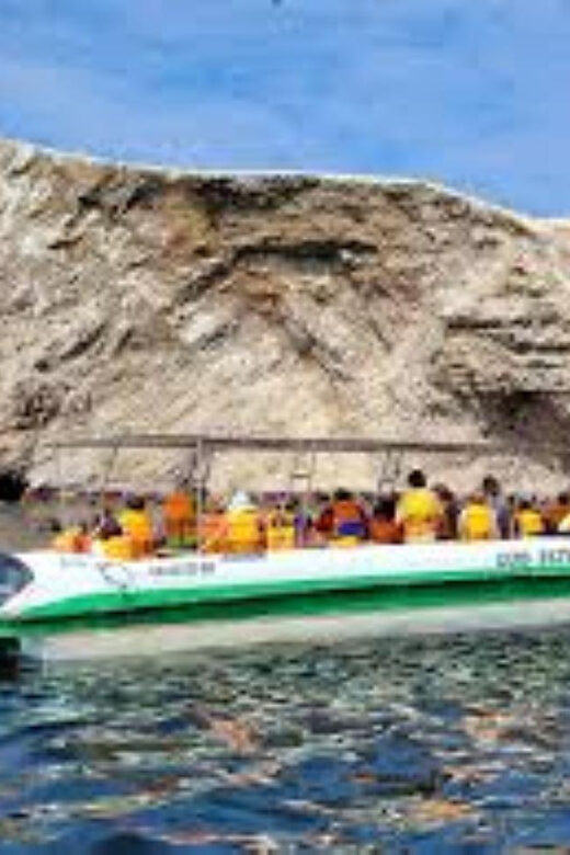 Ballestas Islands Tour - Is This Tour Right for You?