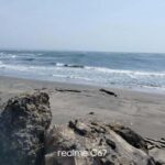 Barranquilla: Magdalena River and Bocas de Cenizas Tour - The Value of This Experience