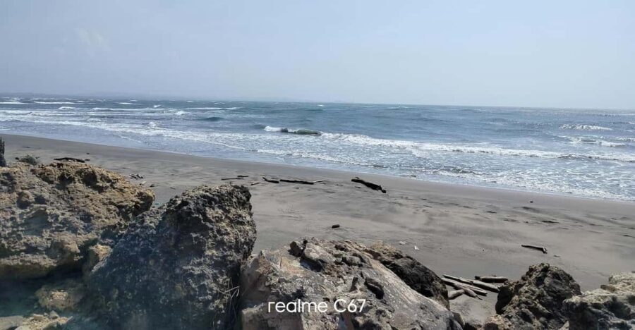 Barranquilla: Magdalena River and Bocas de Cenizas Tour - The Value of This Experience