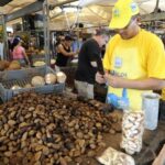 Belém: Half-Day City Tour with Ver-o-Peso Market Visit - Final Thoughts: Is This Tour Right for You?