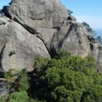 Bico do Papagaio Guided Hiking Tour in the Tijuca Forest - Who Will Love This Tour?