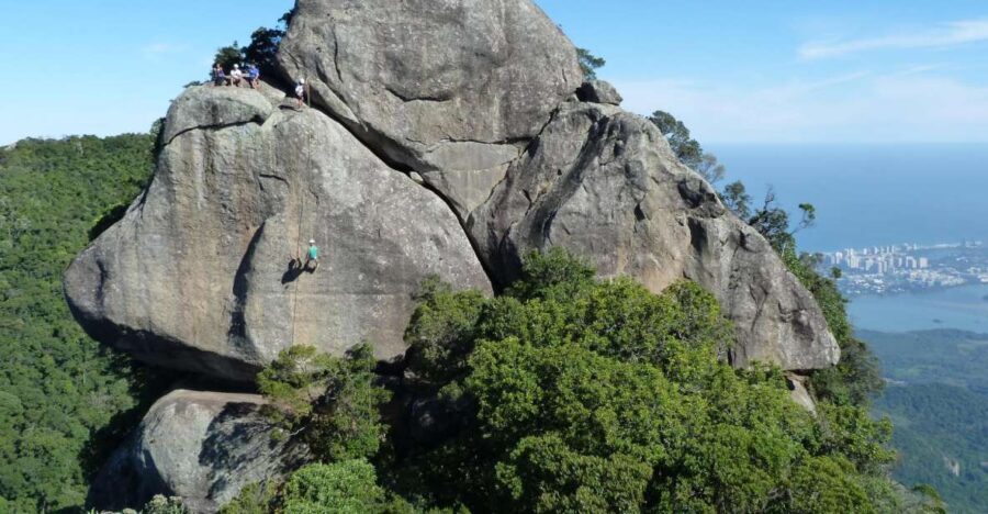 Bico do Papagaio Guided Hiking Tour in the Tijuca Forest - Who Will Love This Tour?