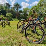 Biking in Peruvian rainforest with Lagoon visit - Who Will Love This Tour?