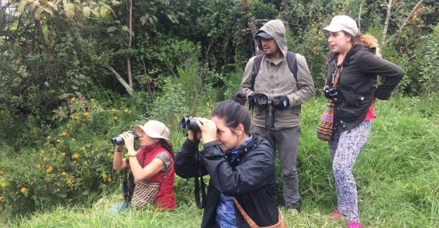 Birdwatching Day Tour at Chicaque Natural Park - The Pros and Cons