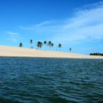 Boat ride: São Francisco River, the largest in Brazil - The Itinerary: What to Expect