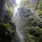 Bogota: Explore the forest and bird watching at Chicaque Natural Park - Wildlife and Bird Watching