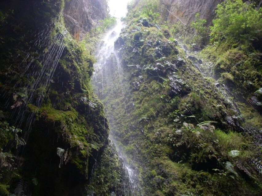 Bogota: Explore the forest and bird watching at Chicaque Natural Park - Wildlife and Bird Watching