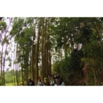 Bogota: Full-Day Extreme Eco-Tour - Why We Think This Tour is Worth Considering