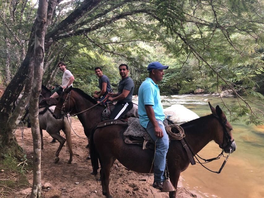 Bogota: Horseback Wilderness Ride - The Value of This Experience