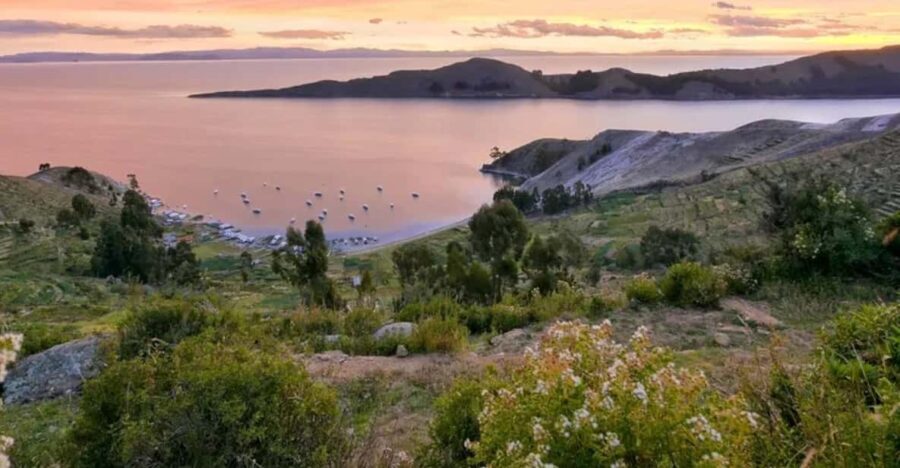 Bolivia: Full day to Copacabana & Isla del Sol - What to Expect: An In-Depth Look